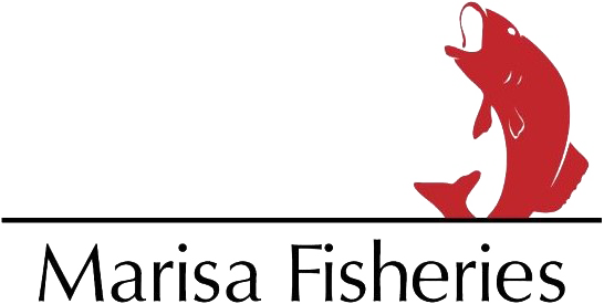 Our Platform | Seafood ERP Software | Wisefish